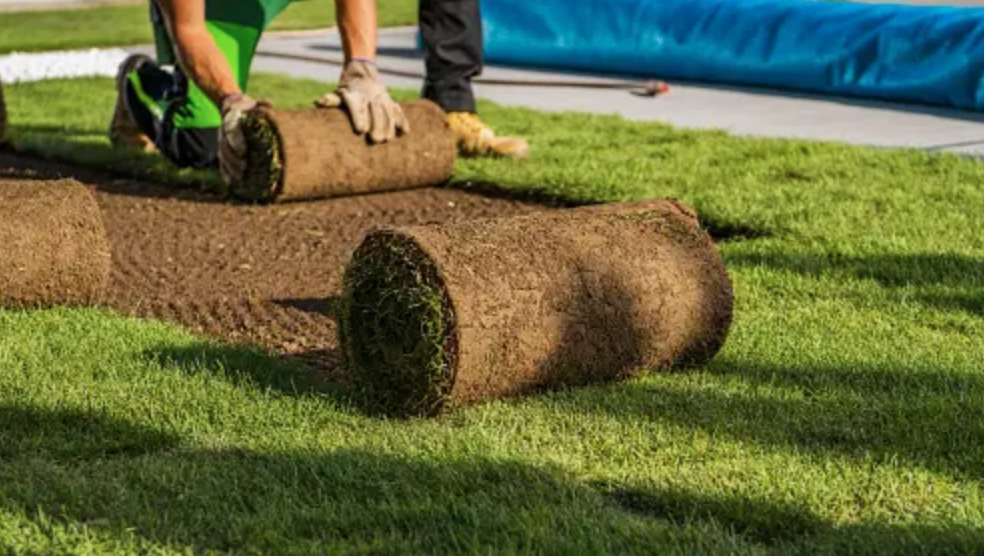 Mastering Golf Course Turf: Tips for Pristine Green Maintenance